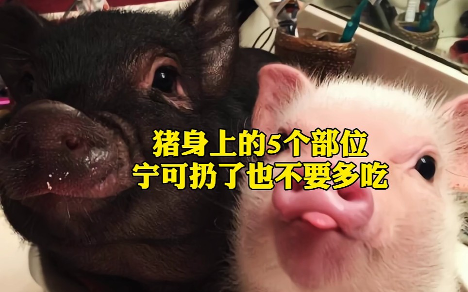 猪身上的5个部位,宁可扔了也不要多吃