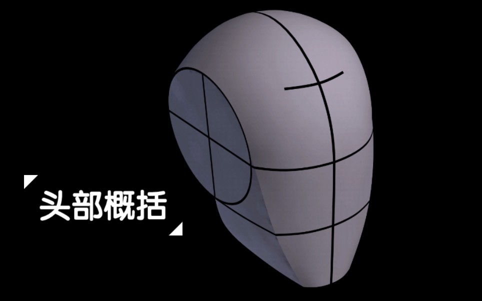 【面部体块概括】头部骨骼参考|绘画|建模