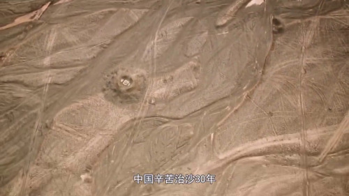 辛苦治沙30年,艰难将沙漠变绿洲,如今却出现了这种东西