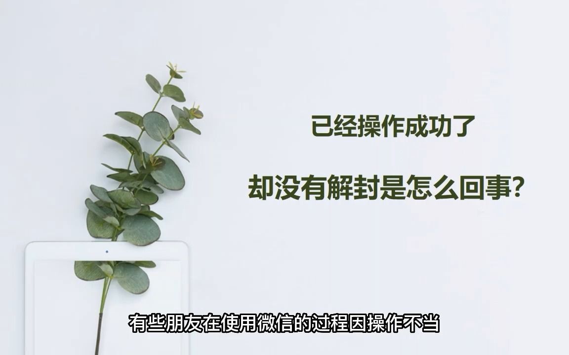 微信解封失败的原因有哪些?看完就懂了
