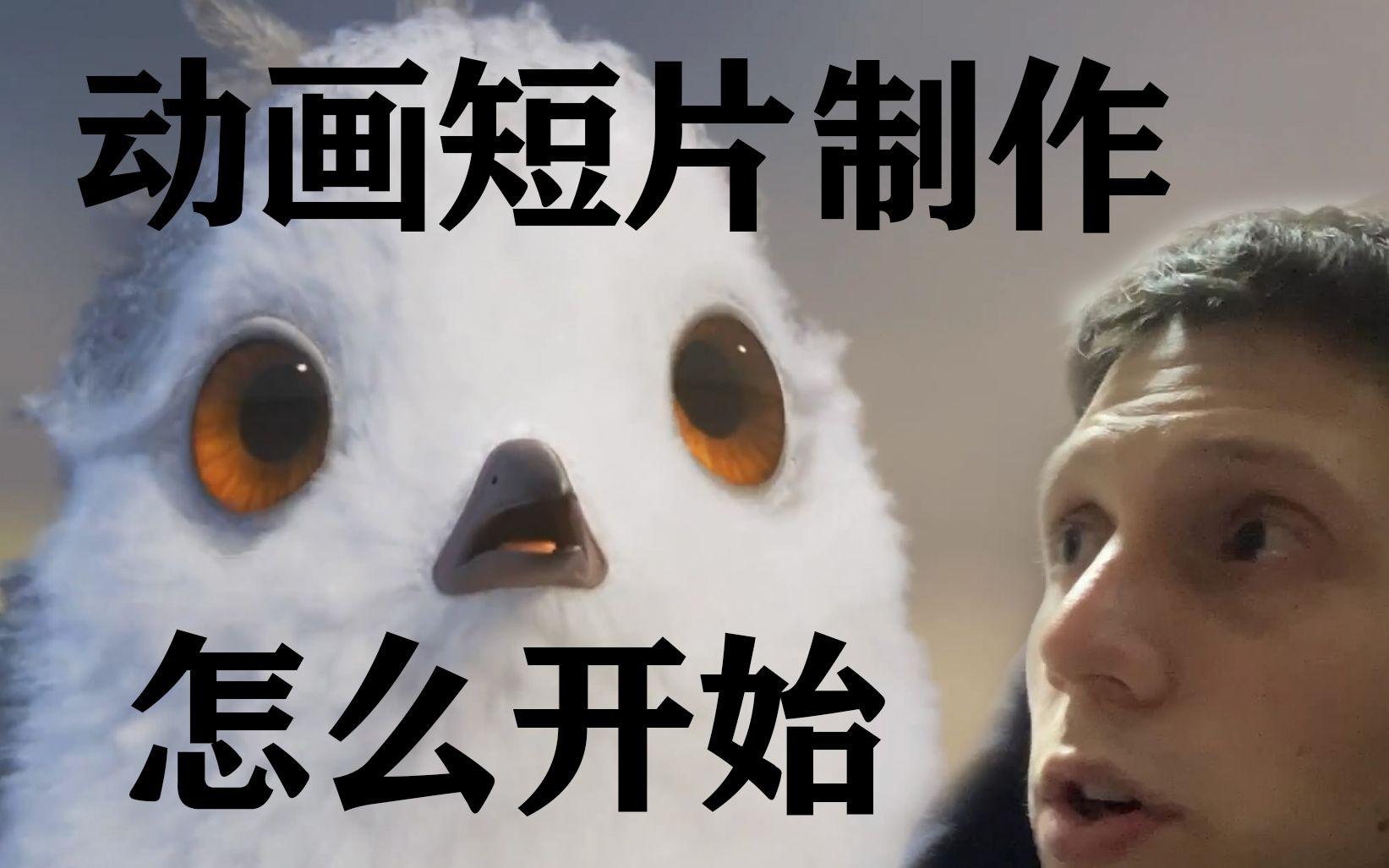 动画制作-怎么开始