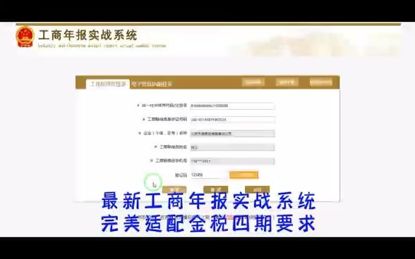 工商年报实战系统 金税四期 会计做账实操 出纳报税
