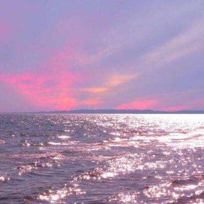 木槿凉一夏 