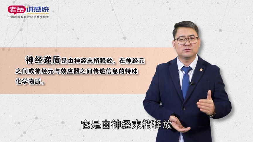 感统知识百科:神经递质是神经元之间的“信使”
