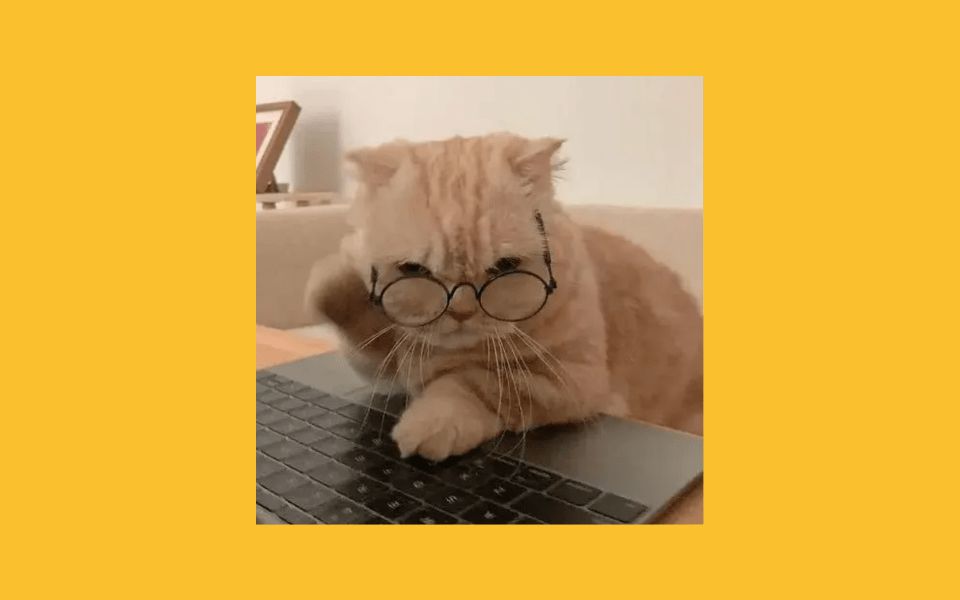 桂林电子科技大学人工智能学院,计算机科学与技术相对好考?来看看...