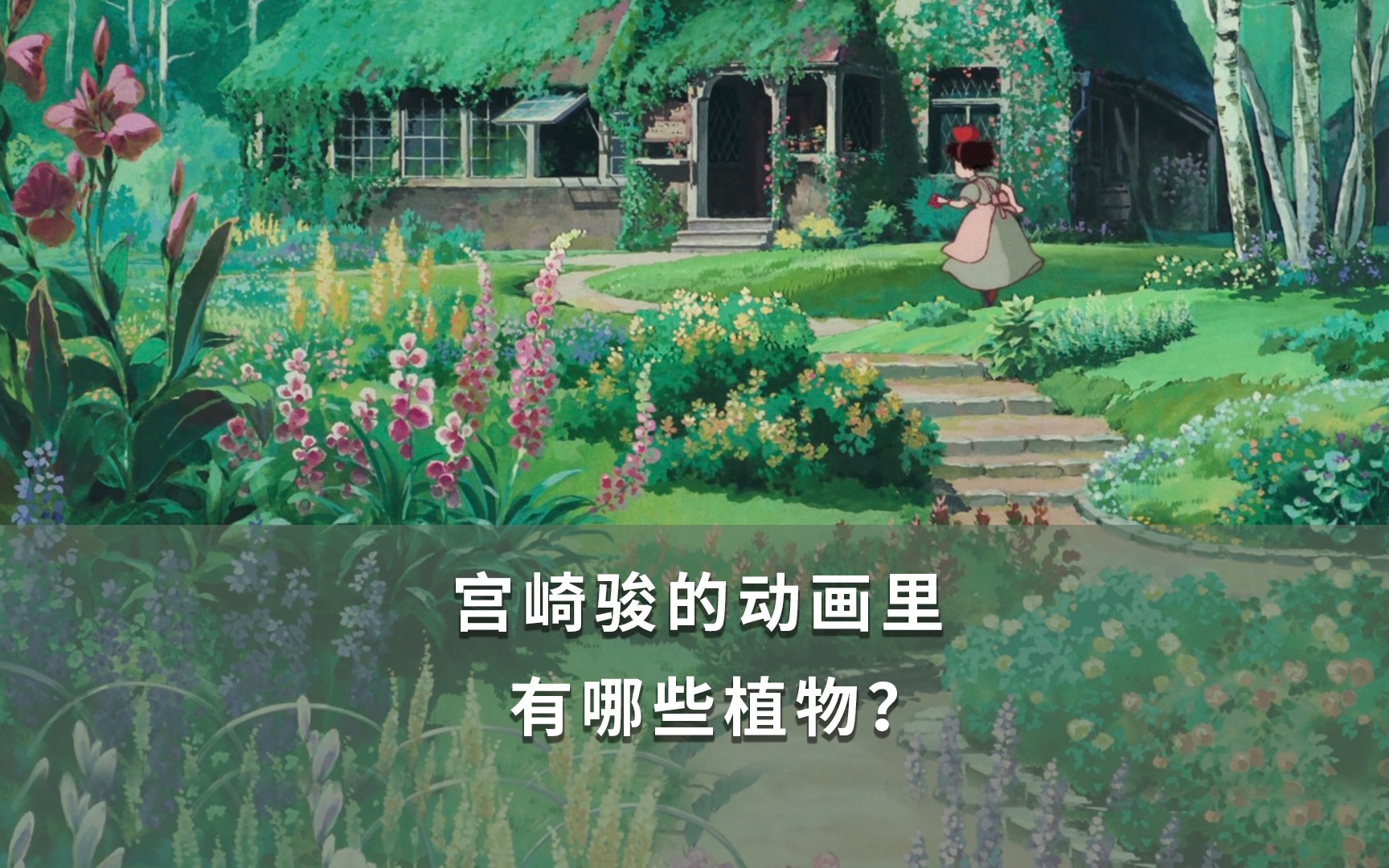 宫崎骏的动画里,有哪些植物?