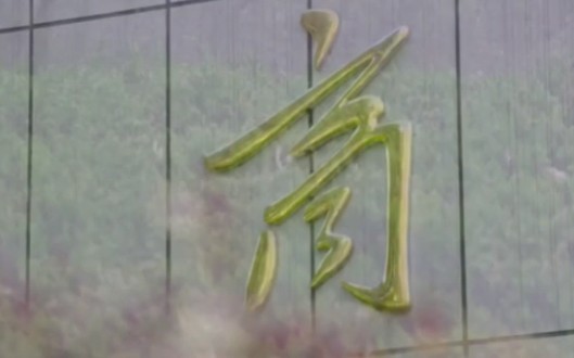 嘉兴南湖税务局、经济技术开发区税务局、综合保税区税务局干部能力...