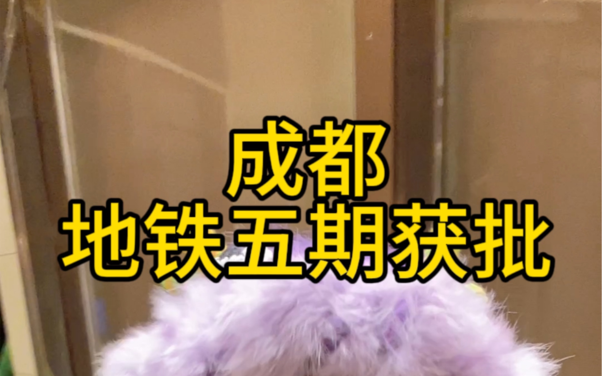 成都地铁第五期获批!