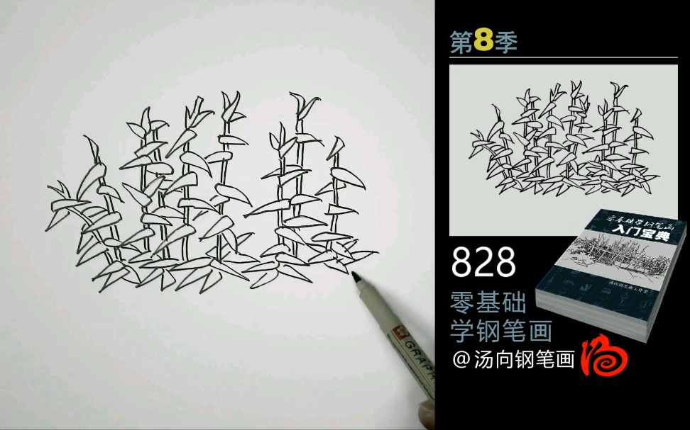 【零基础画画教程】教你零基础画出各种不同造型的草!