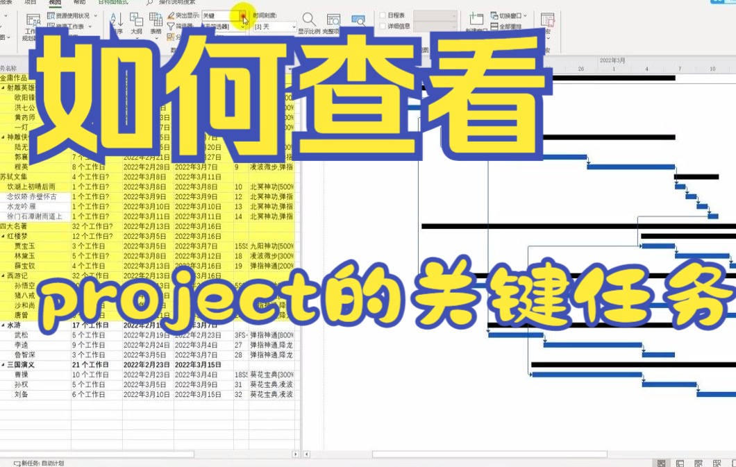 【project技巧】如何用甘特图的形式查看project的关键路径任务并且填色