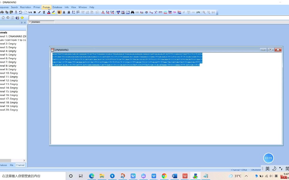 使用DNAMAN软件,将基因序列翻译成氨基酸序列,再进行比对。