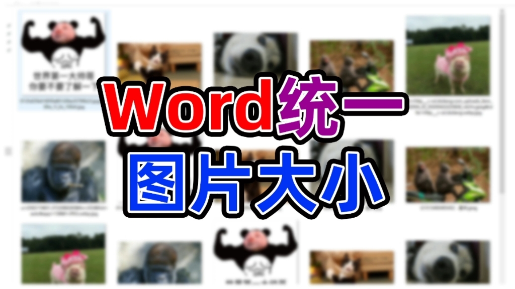 修改图片大小不会ps没关系,用word轻松批量搞定