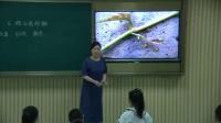 6 爬山虎的脚_第一课时(特等奖)(人教版四年级上册)_T192419