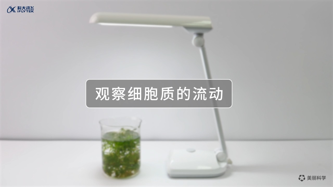 用高倍显微镜观察叶绿体和细胞质的流动