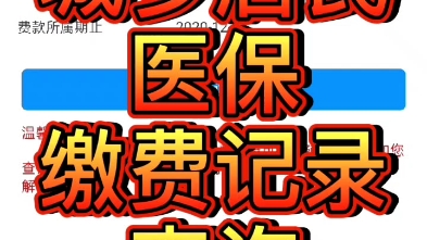 城乡居民医保缴费记录查询方法