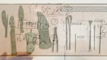 世界医学史 20-1 四大传统医学