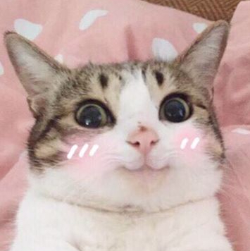 PS教程小灵喵 