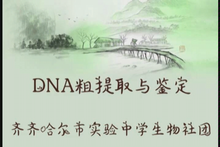 高中生物实验-DNA粗提取与鉴定