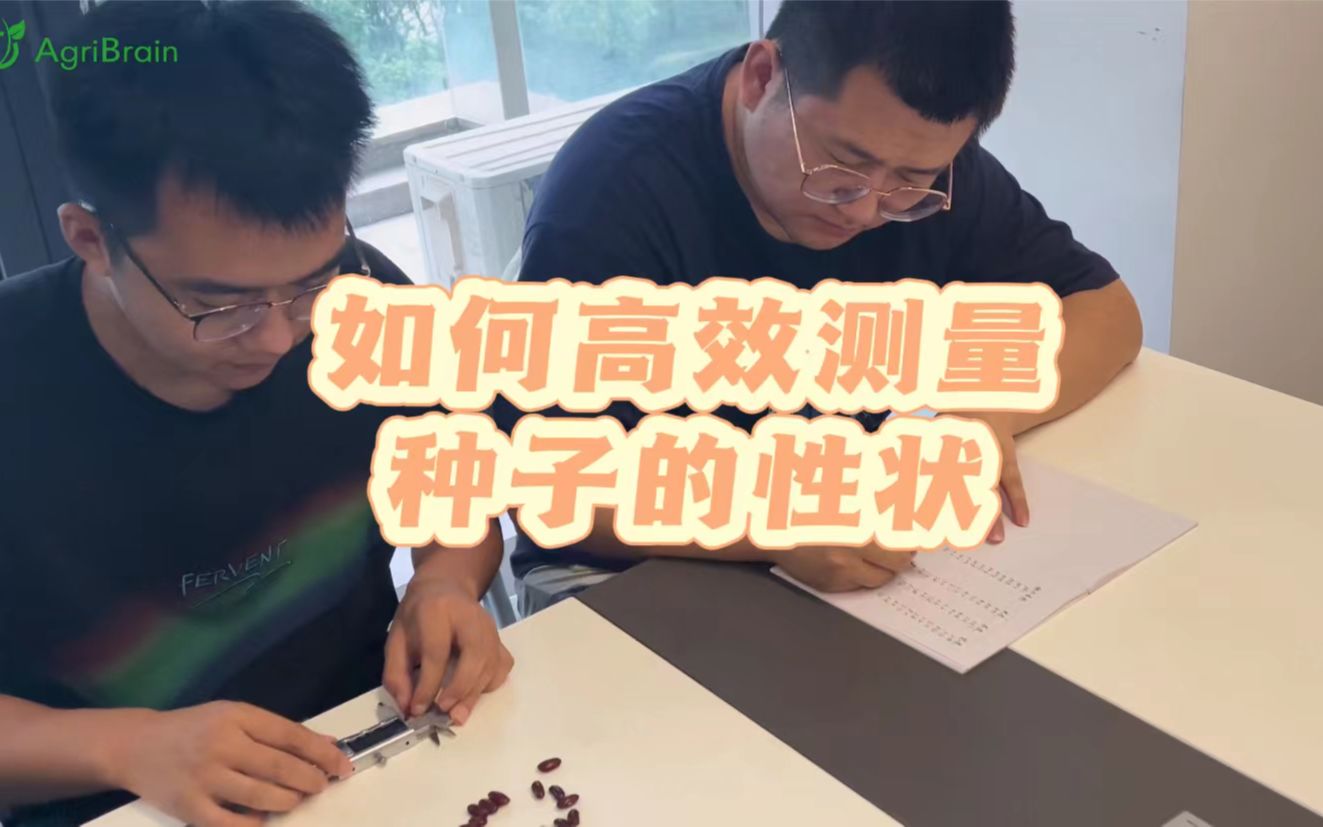 【教程】快速提取种子表型信息的方法