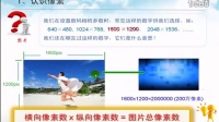 高中通用技术高三年级微课《像素与分辨率》可园学校【蒋雅琴】(...