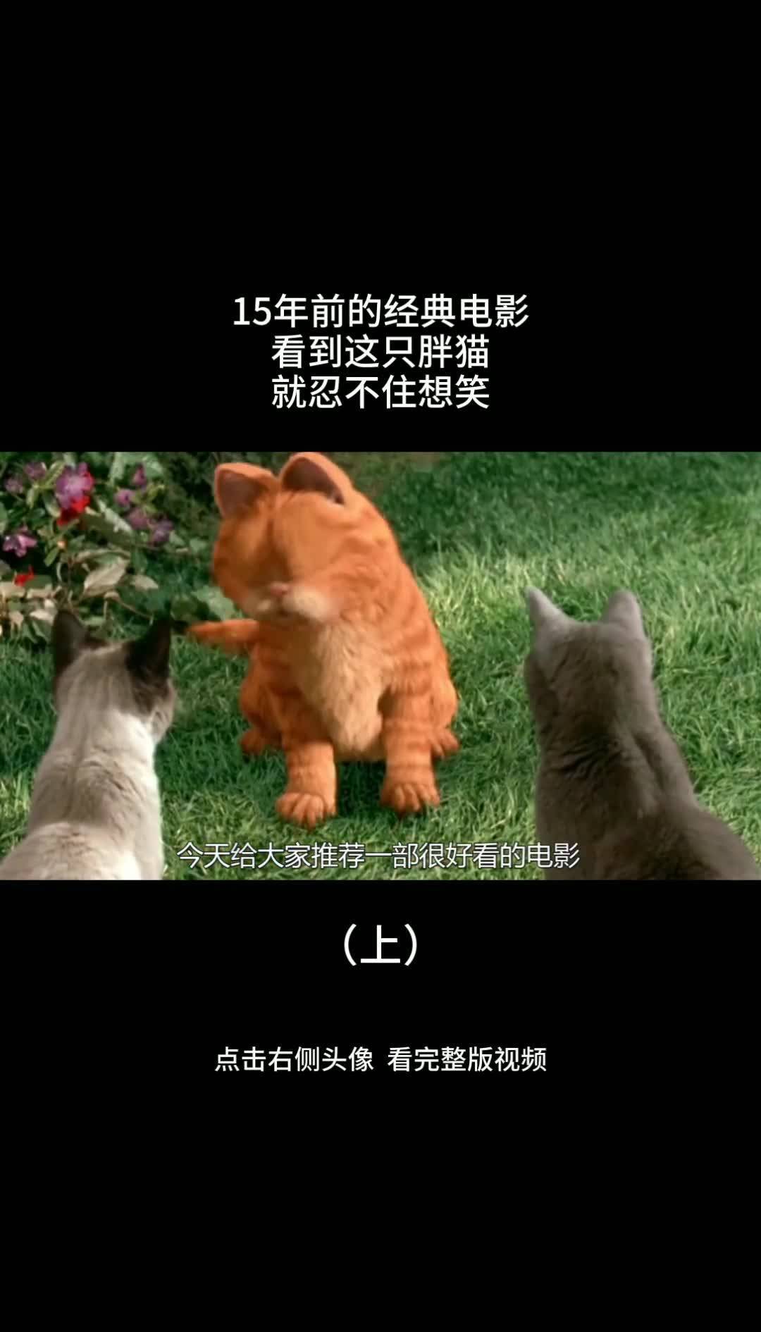 动画《加菲猫》(上)部