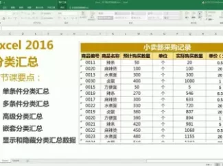 excel教程上篇: 分类汇总的讲解, 进行单条件, 多条件和高级汇总