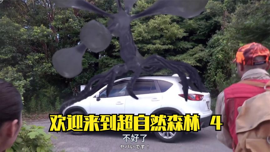 无法解释的超自然现象看完令人毛骨悚然!影视欢迎来到超自然森林