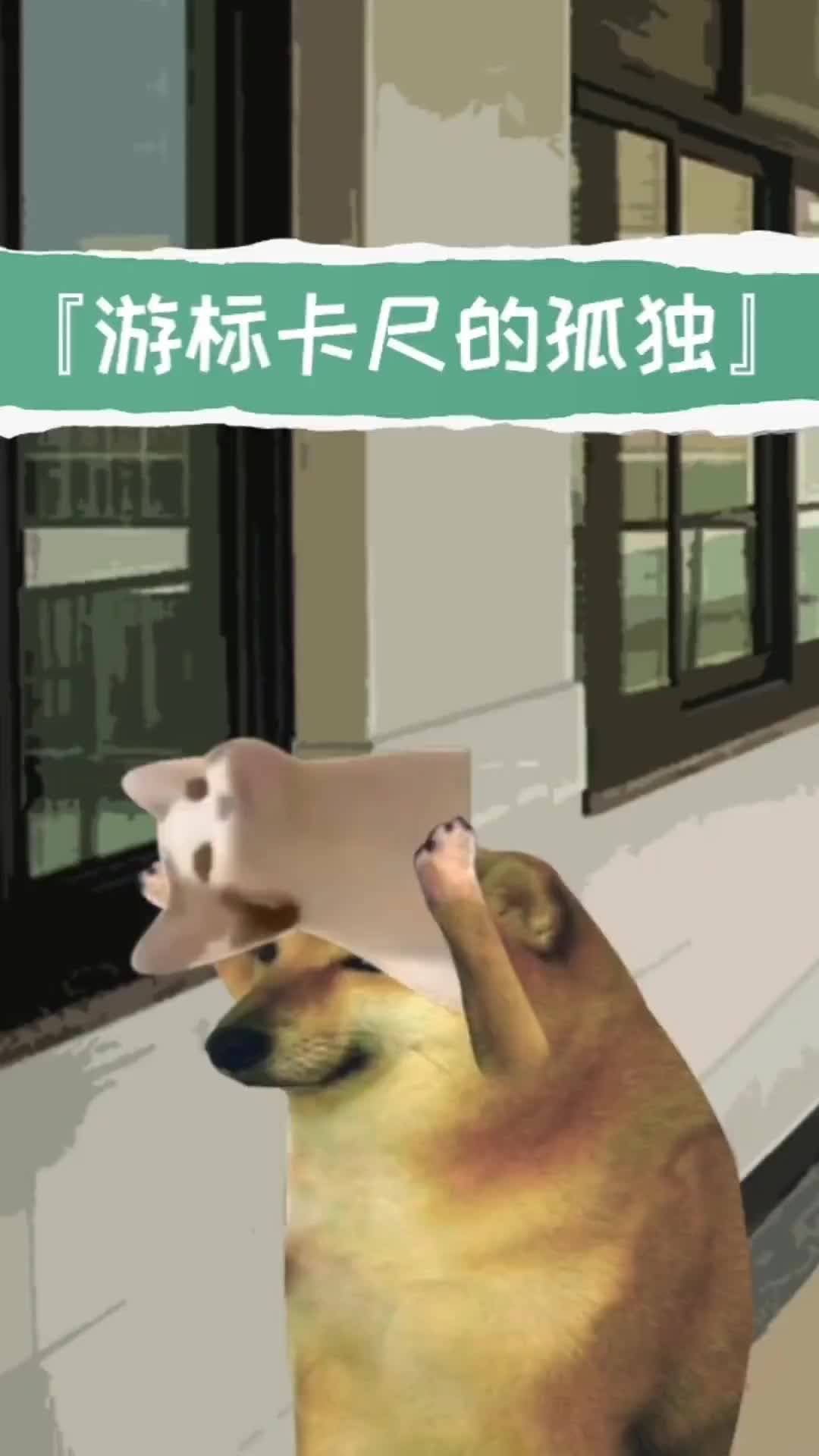 "你可曾知道游标卡尺的孤独"