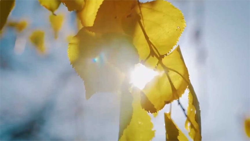 安闲幽闲闲适曲,终止于衰竭是“死亡”,但“圆满”却终止于无穷