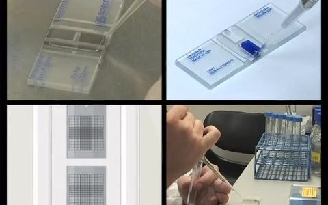 【转需】考研必备之实验室内细胞计数使用的仪器、操作方法及注意事项