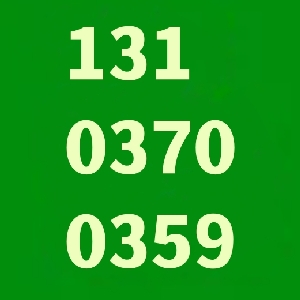 电话13103700359 