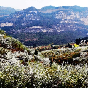 阿山的诗和远方 