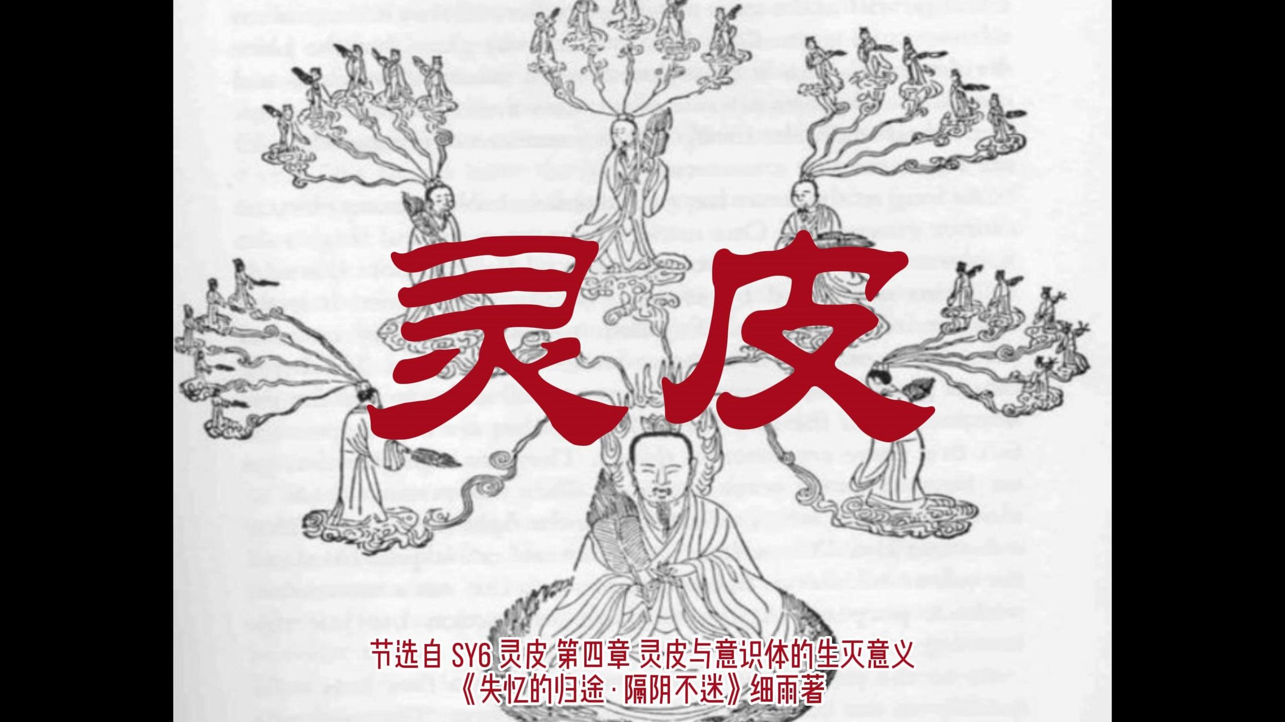 灵皮是什么呢? 灵皮的作用 - 节选自 SY6 灵皮 第四章 灵皮与意识体的...