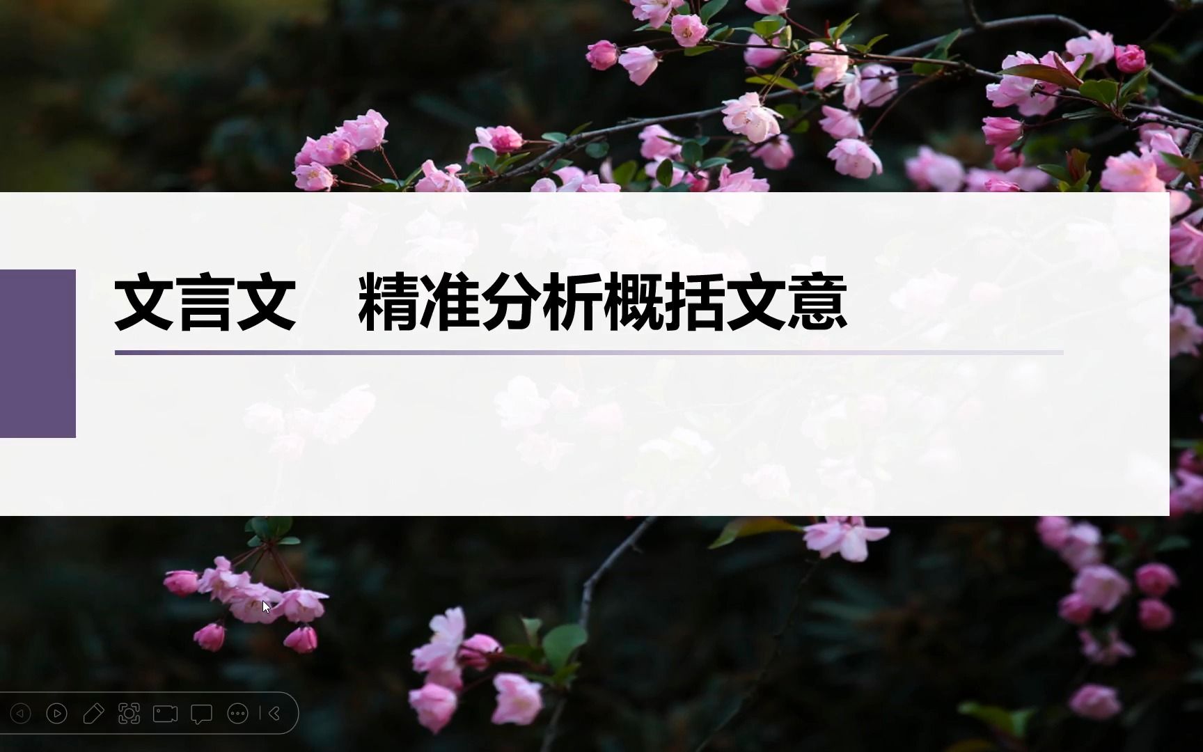 文言文满分-- 精准分析概括文意