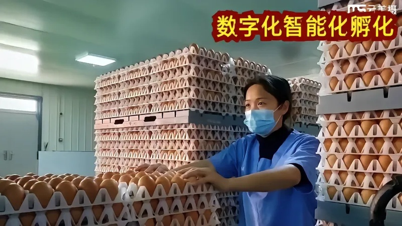 数字化智能化标准化孵化
