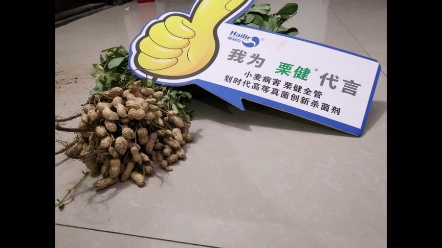 科学种田,科学用药,增产增收,农民喜悦。#农业种植