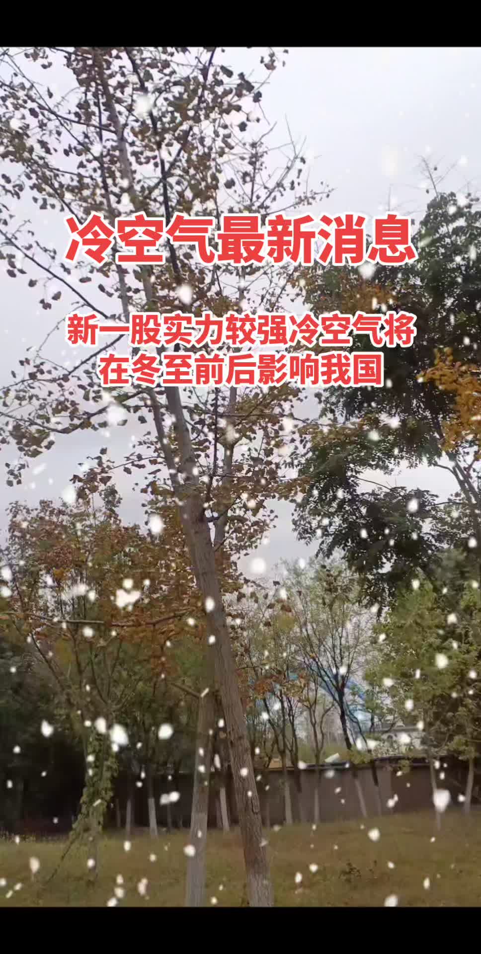 新一股冷空气最新消息 #冷空气来袭注意保暖 #冷空气#