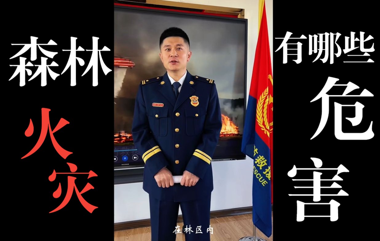 《海鹰我在》第十一集:森林火灾有哪些危害