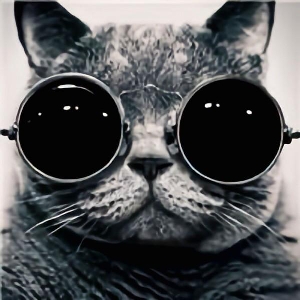 犹豫的蓝猫 