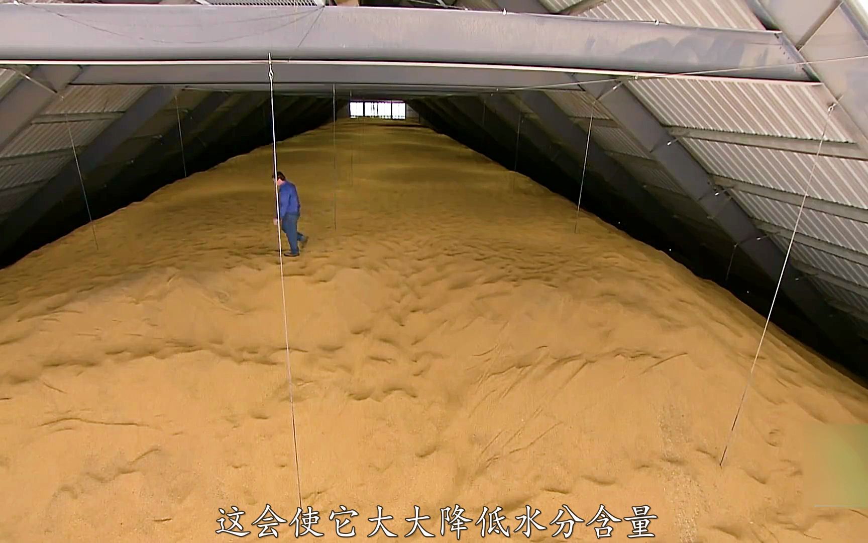 揭秘水稻是如何制作成大米的