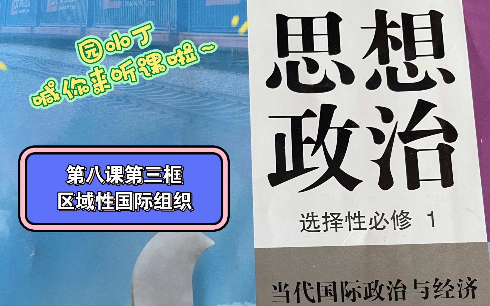 高中政治选择性必修一 第四单元 第八课 第三款框题 区域性国际组织
