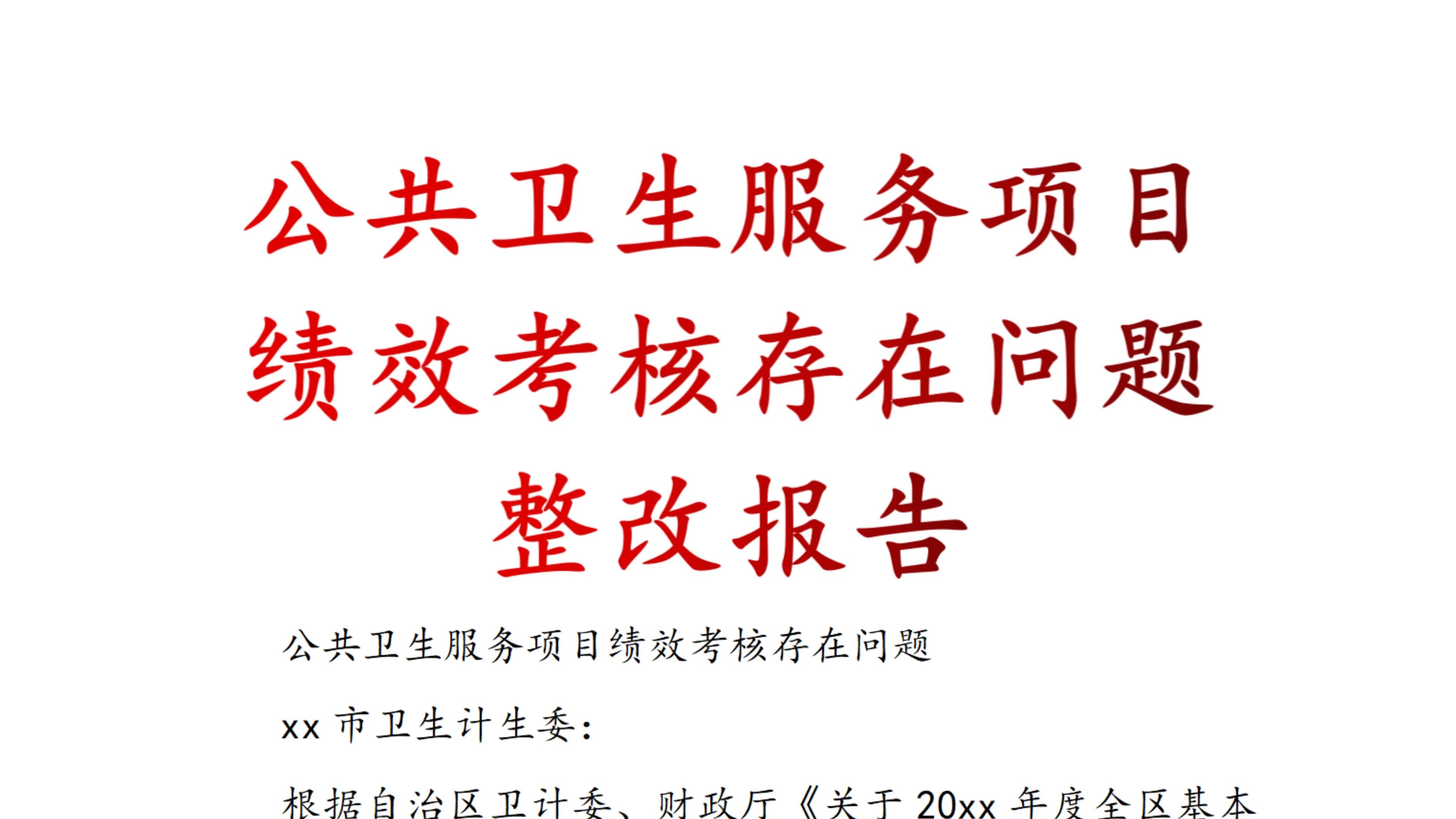公共卫生服务项目 绩效考核 存在 问题整改 报告、整改报告、问题整改...