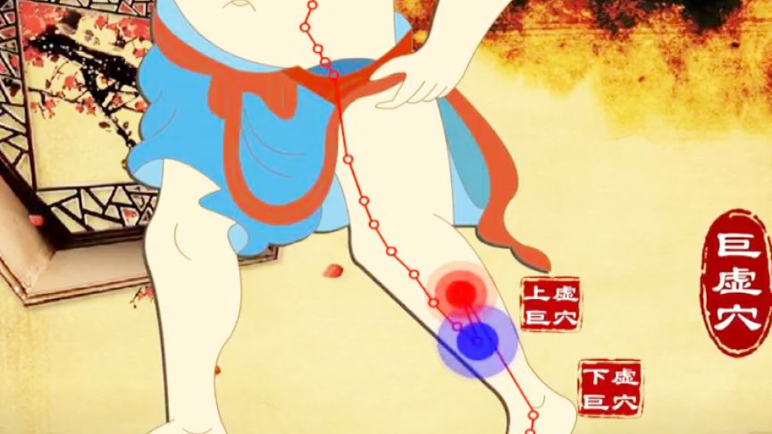 下巨虚穴属于足阳明胃经,同时又是小肠下合穴,常按可通经调肠