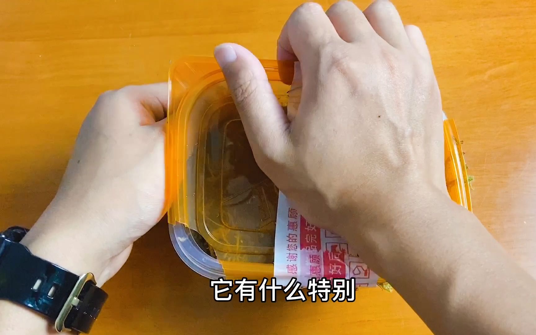 开箱一只十分特殊的草龟,全身都错甲了,错到怀疑龟生!