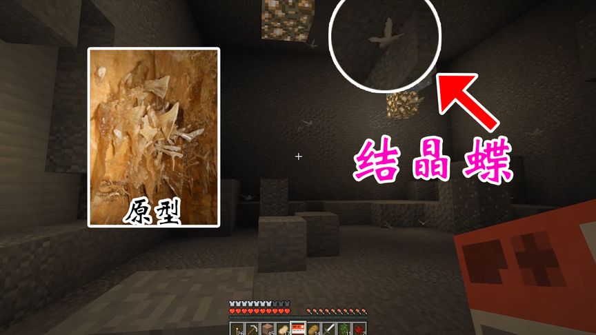 我的世界:矿洞中的稀有生物,结晶蝶的故事你听说过吗?