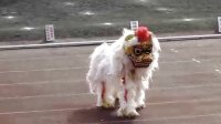 厦门大学第45届运动会开场--舞龙舞狮表演