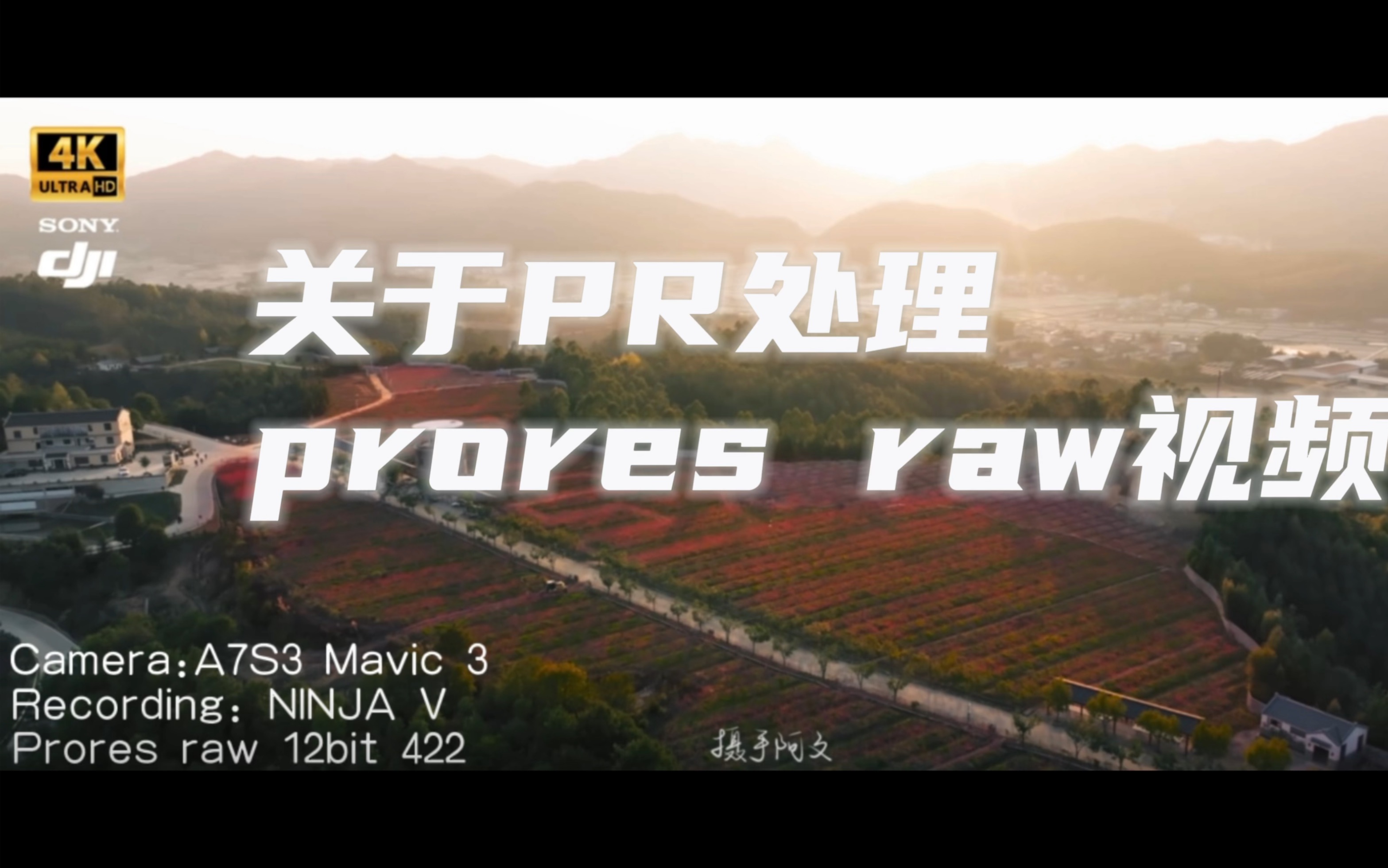 能讨论一下,大家在用pr处理prores raw格式视频时,遇到的问题吗?
