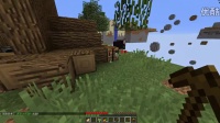 【我的世界】[软垫]白乐天开的服务器真的很卡!