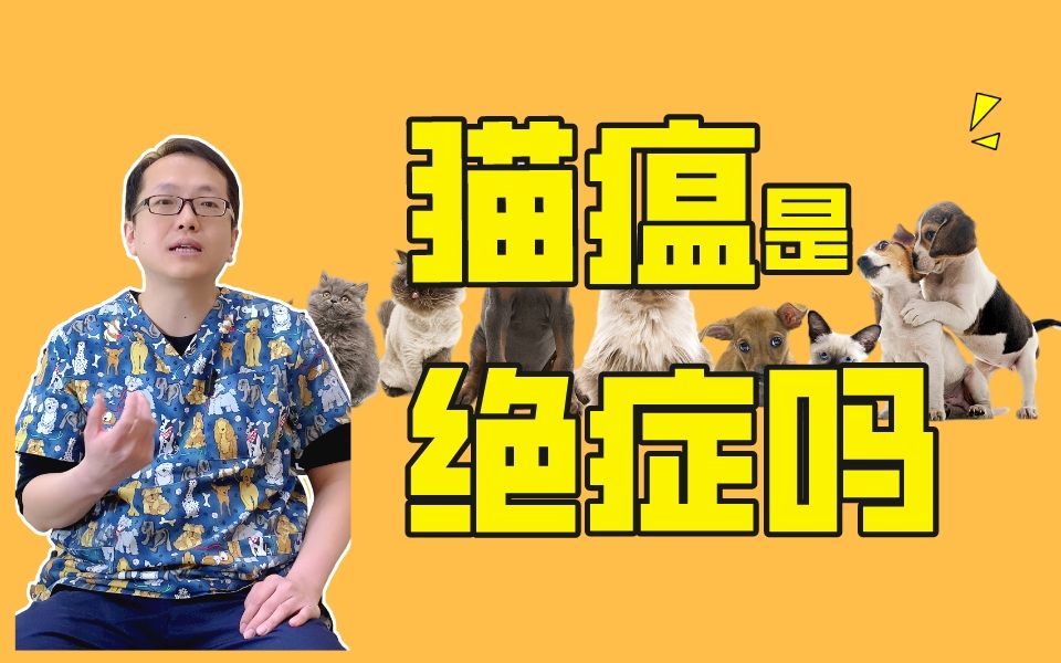 猫咪得了猫瘟是绝症吗?