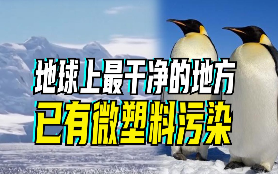 科研人员首次在南极洲雪中发现微塑料:地球上最干净的地方已有污染